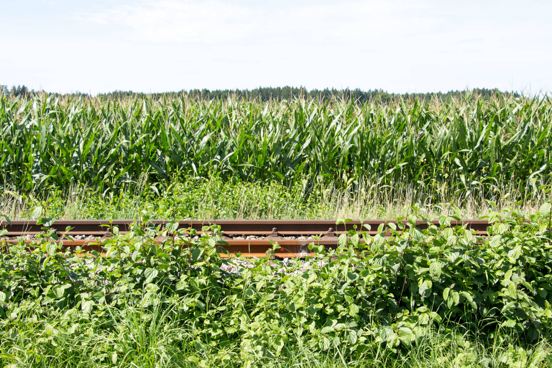 Verkehr, Energie und Umwelt » Aying
