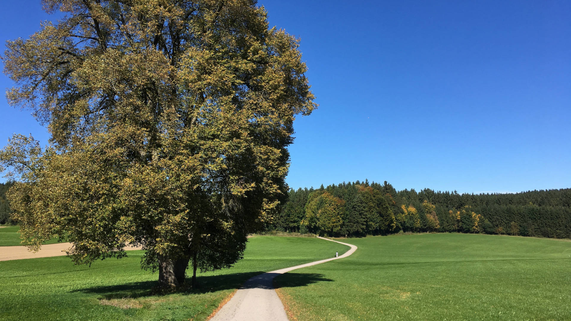 Naturdenkmal » Aying